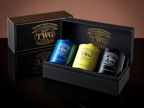 Why is packaging a critical factor for brand success? | PackMojo