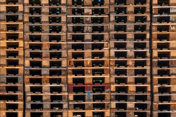 FSC Packaging: A Sustainable & Greener Future | PackMojo