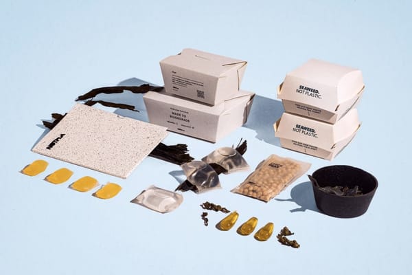 8 Sustainable Innovations Redefining Eco-Friendly Packaging | PackMojo