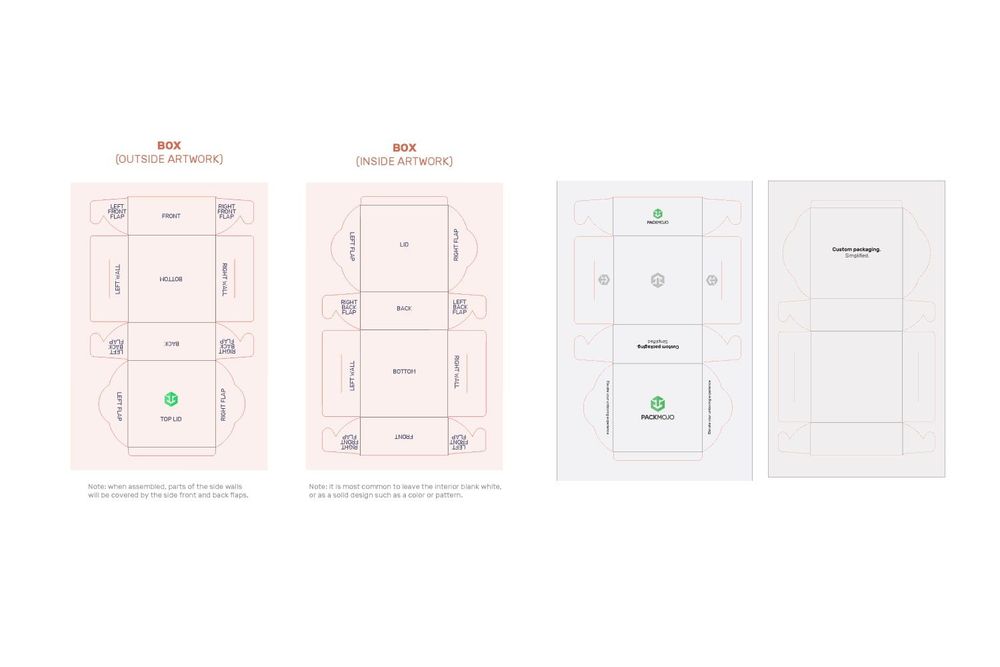 Cake Box Dieline Design Tutorial | PackMojo