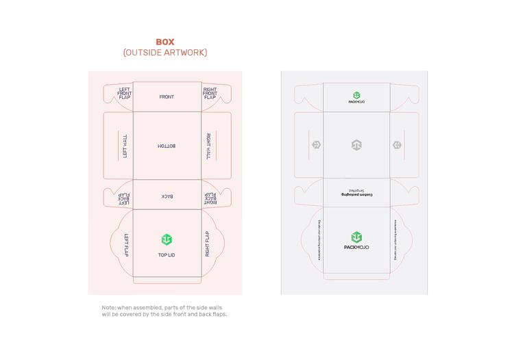Cake Box Dieline Design Tutorial | PackMojo
