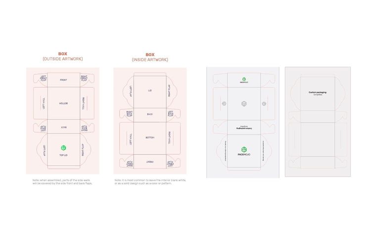 Cake Box Dieline Design Tutorial | PackMojo